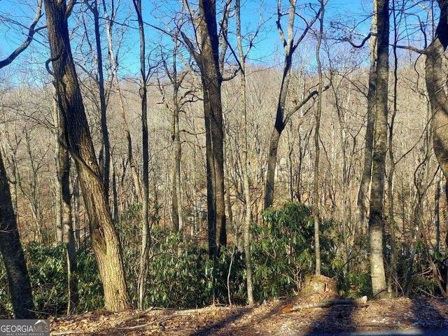 0 Rebel Cir Lot 41, Sky Valley, GA 30537
