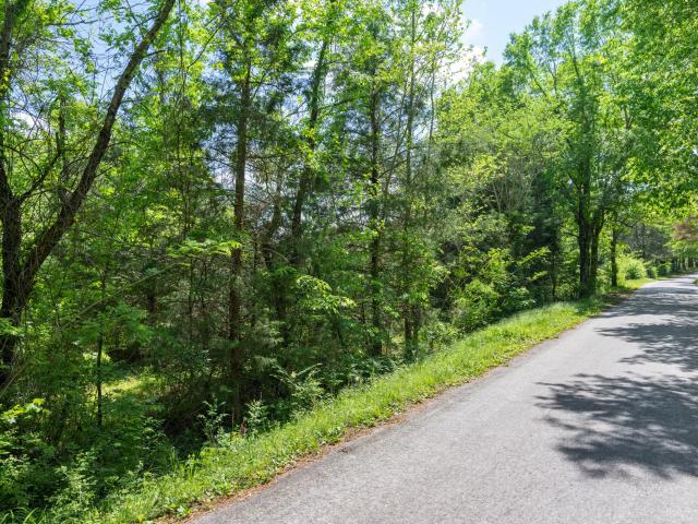 0 Red Williams Rd