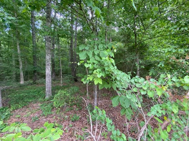 0 Red Bud Circle
