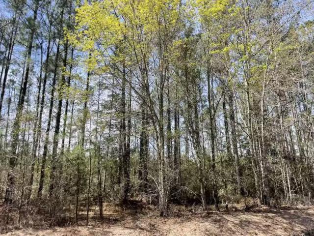 0 Red Oak Rd, Cottageville, SC 29435 MLS 24027562