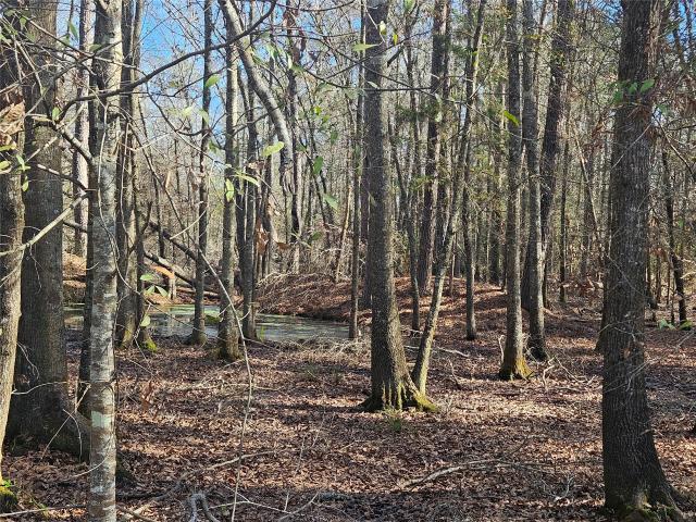 0 Red Rd, Shepherd, TX 77371 | MLS #10402