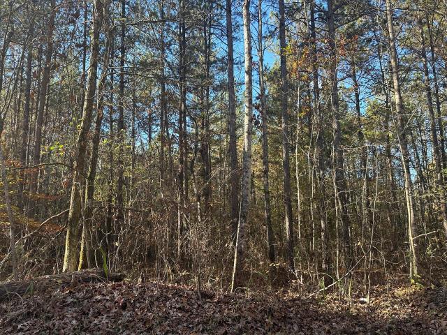 0 Redman Ln, Decatur, TN 37322 | MLS #1532 | Compass