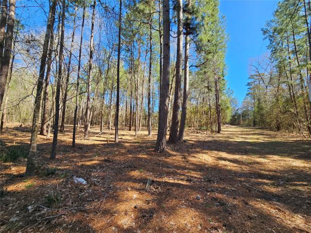 0 Reedwood, Montgomery, TX 77356 | MLS #12706