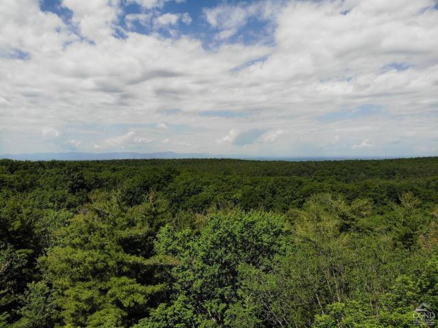 0 Reed Rd, Chatham, NY 12037 | MLS #153134