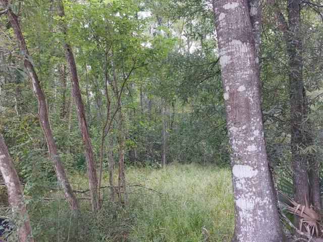 0 Remington Rd, Denham Springs, LA 70706 | MLS #BR2026005 | Compass