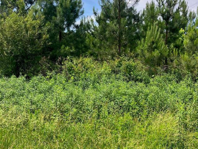 0 Renee Ford Rd, Stanfield, NC 28163 | MLS #4251