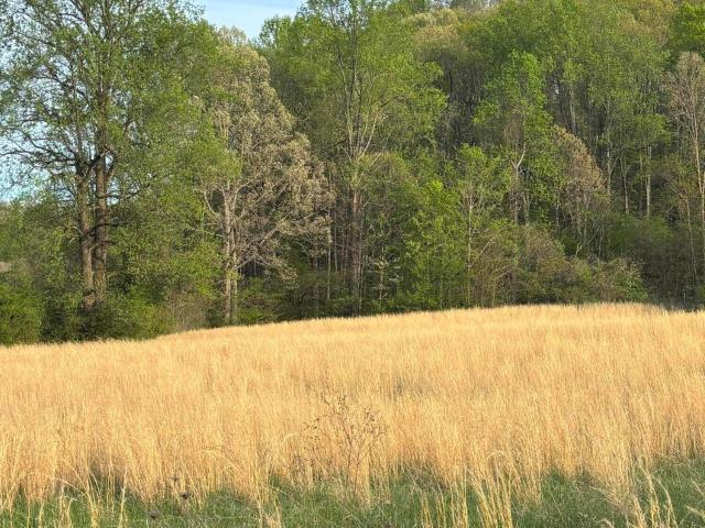 0 Rhea Rd