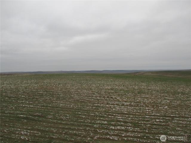 0 Rice Road