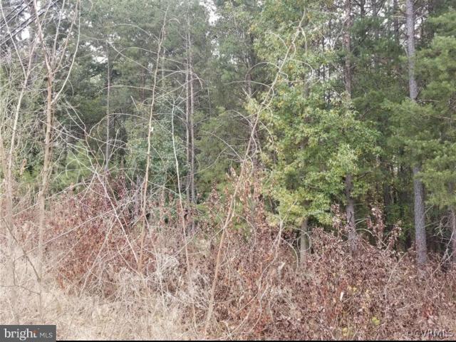 0 Richmond Turnpike, Bowling Green, VA 22427 | MLS #VACV2008 | Compass