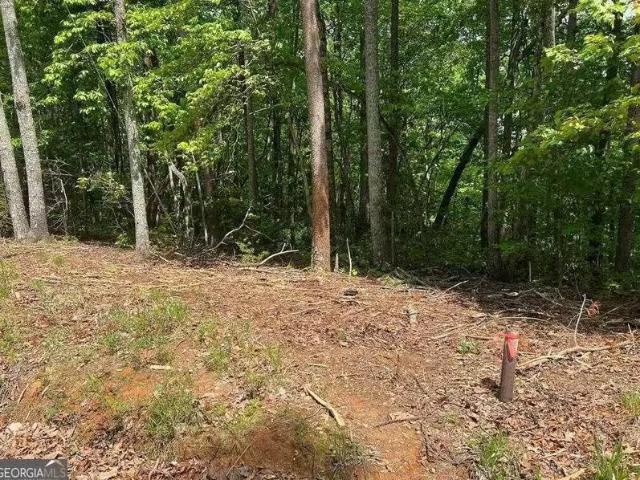 0 Ridge Rd #LOT 46, Dawsonville, GA 30534 MLS 10299792