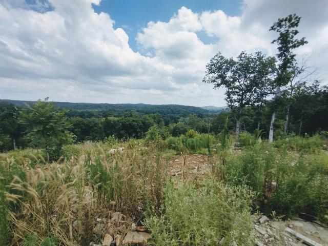 0 Ridge Top rd