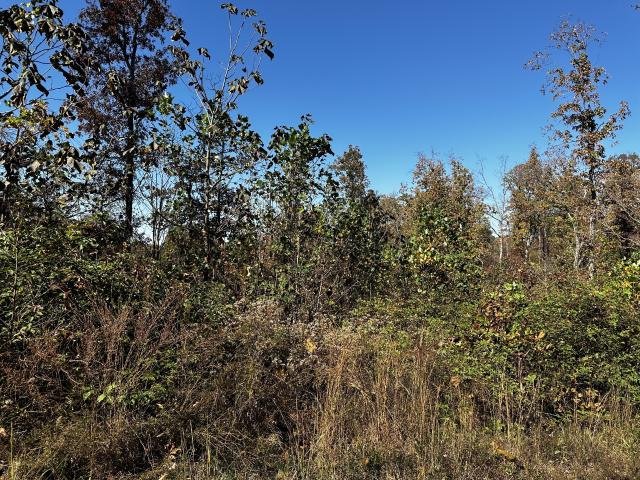 0 Ridge Top Rd