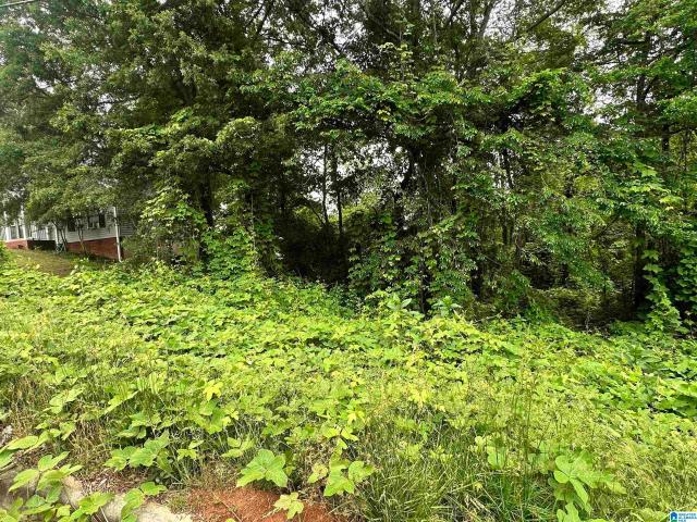 0 Ridgecrest Drive # 14