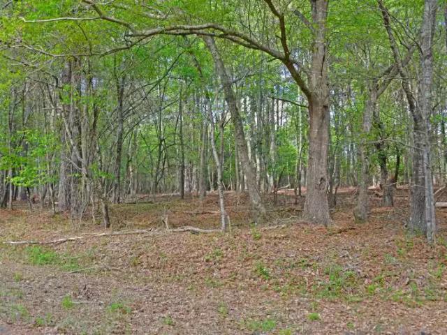 0 Ridgelake 15 A 15 B Circle, Saint Matthews, SC 29135 MLS.