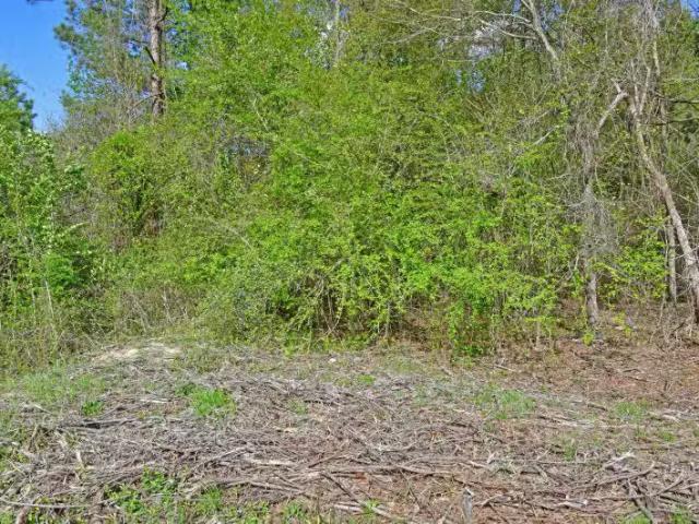0 Ridgelake Cir Lot 12, Saint Matthews, SC 29135 MLS 25009053