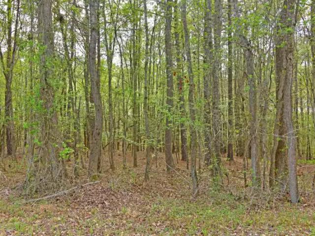0 Ridgelake Cir Lot 35, Saint Matthews, SC 29135 MLS 25009070