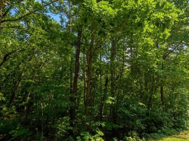 0 Ridgemore Circle LOT 12 AND 8A