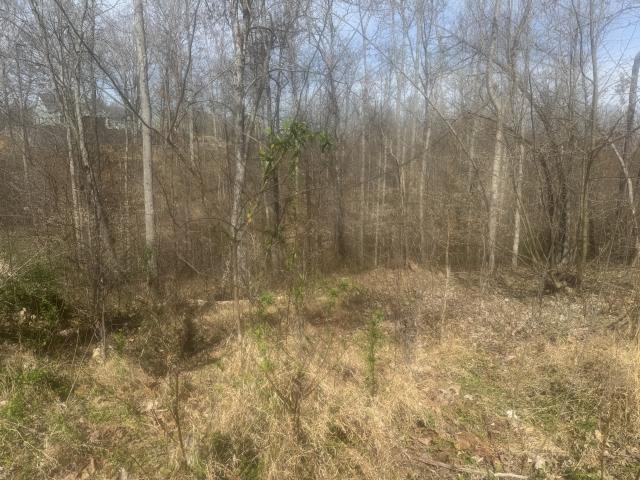 0 Ridgeway Drive
