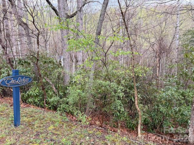 0 Ridgeview Hill Dr, Hendersonville, NC 28792 | MLS #4366 | Compass