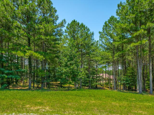 0 River Bluffs Drive