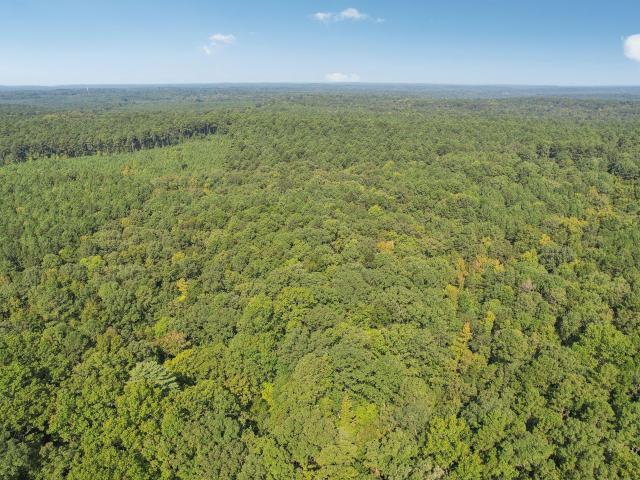 0 River Forks Rd, Sanford, NC 27330 | MLS #10142 | Compass