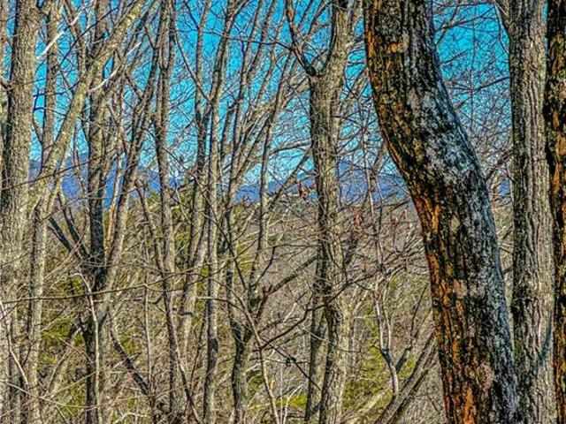 0 River Highlands Rd, Dahlonega, GA 30533 | MLS #7725 | Compass