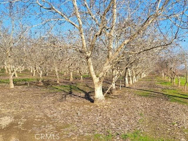 0 River Rd, Chico, CA 95973 | MLS #SN25133 | Compass