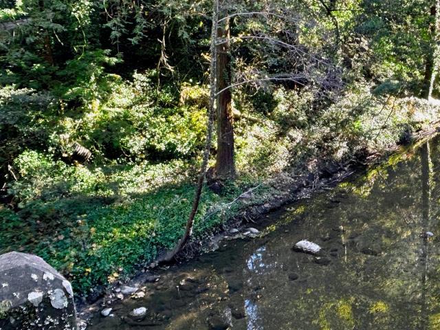 0 Riverside Rd, Ben Lomond, CA 95007 | MLS #ML82029 | Compass