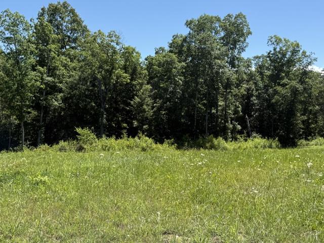 0 Riverview Drive Lot 1 & 2