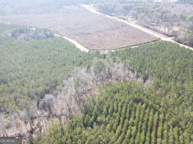 0 Rocky Creek Rd, Hampton, GA 30228 | MLS #10715