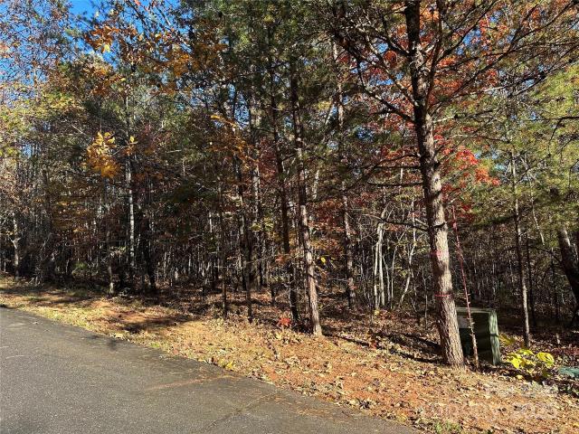 0 Rock Ledge Dr Lake, Unit 339, Lake Lure, NC 28746 | MLS #4328