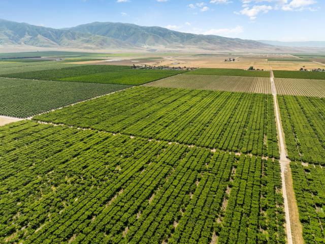 0 Rock Pile Rd, Arvin, CA 93203 | MLS #226038