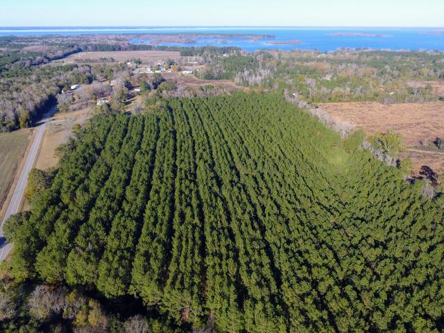 0 Rocks Pond Road Lot F