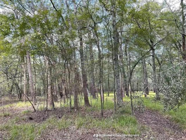 0 Road 2613 Cleveland, TX 77327 | MLS #47992 | Compass