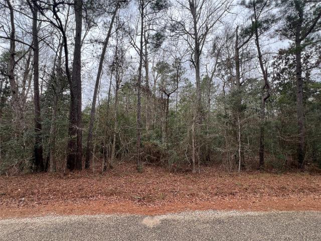 0 Road 2746 Cleveland, TX 77327 | MLS #66657 | Compass