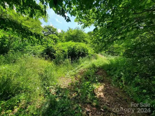 0 Roaring Creek Rd, Newland, NC 28657 MLS 4055073