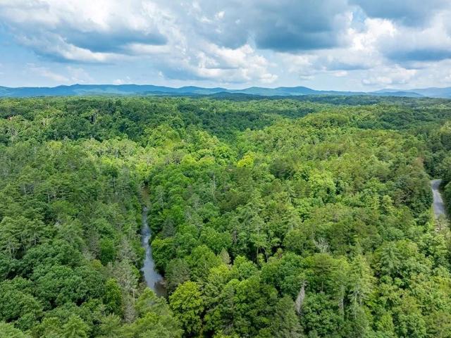 0 Roaring Forks Ln, Ellijay, GA 30540 | MLS #7788