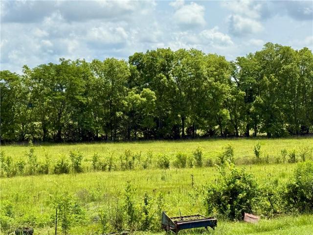 0 Robinson Bridge Rd, Lecompte, LA 71346 | MLS #CN2538