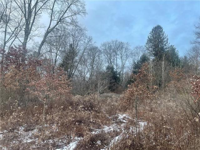 0 Rogers Riviera Rd, Emlenton, PA 16373 | MLS #1735