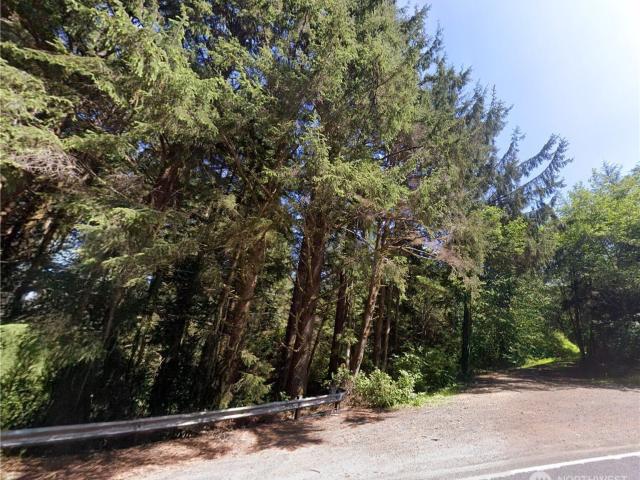 0 Roosevelt Beach, Pacific Beach, WA 98571 | MLS #2459 | Compass