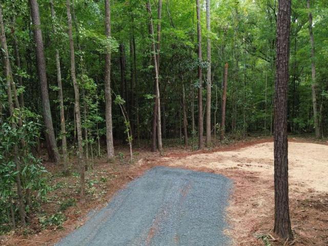 0 Roosevelt HWY 2