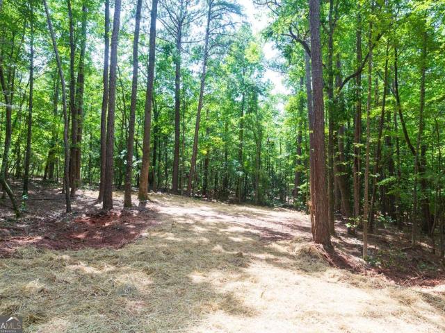 0 Roosevelt HWY LOT 1