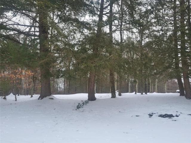 0 Roslyn Ridge Rd, Mongaup Valley, NY 12720 | MLS #947351