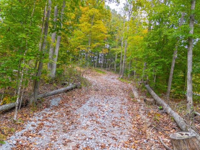 0 Ross Hollow Rd
