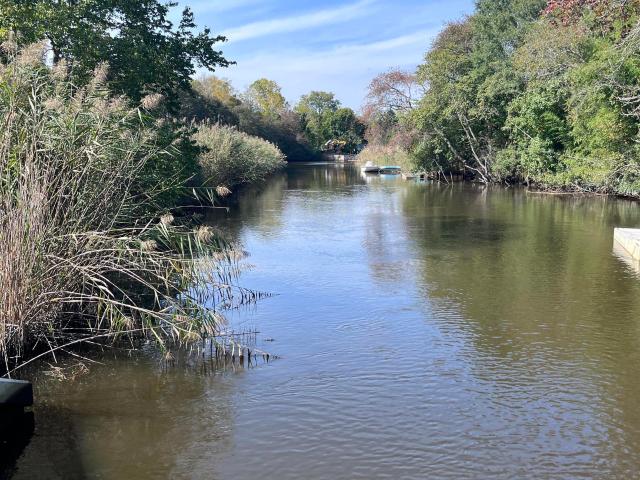 0 Route 49, Woodbine, NJ 08270 | MLS #252837