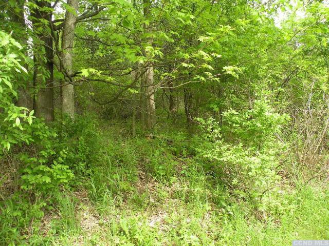 0 Route 9h/oldpost Rd, Ghent, NY 12075 | MLS #156889 | Compass