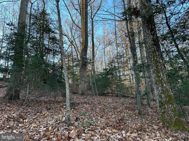 0 St Andrews Church Rd, Leonardtown, MD 20650 | MLS #MDSM2031