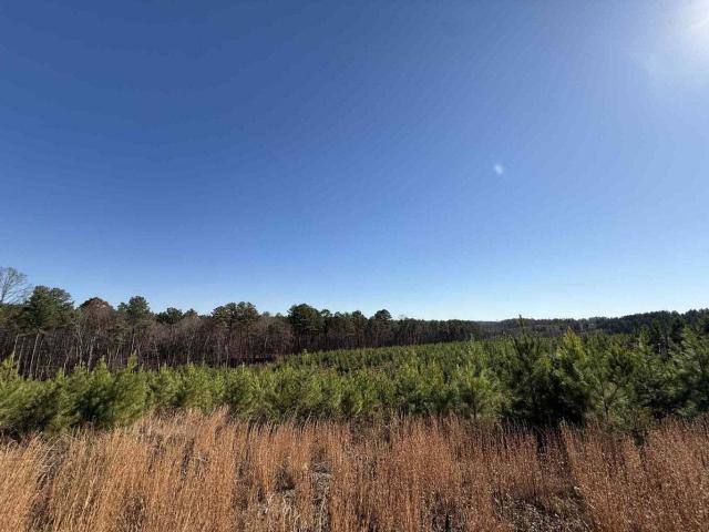 0 St Rt 399 Dunlap Tn 37327, Unit 1, Dunlap, TN 37327 | MLS #1528