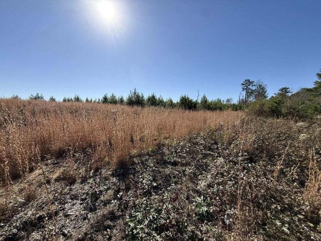 0 St Rt 399 Dunlap Tn 37327, Unit 2, Dunlap, TN 37327 | MLS #1528