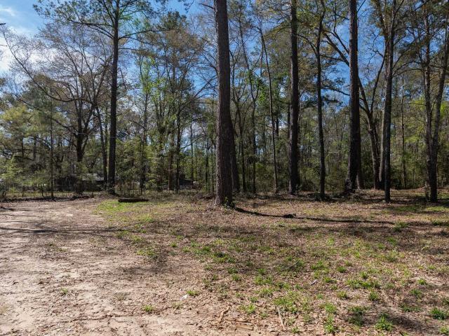 0 Stargate Way, Tallahassee, FL 32309 | MLS #398177 | Compass